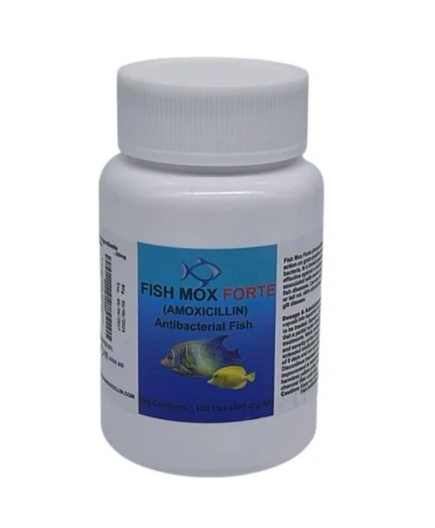 Fish Mox Forte Amoxicillin 500 mg Capsules (100 Count) – Juicy Skate